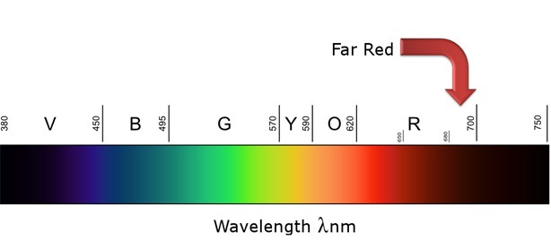 About – UV LED Grow Light “UV Far-red” 720w